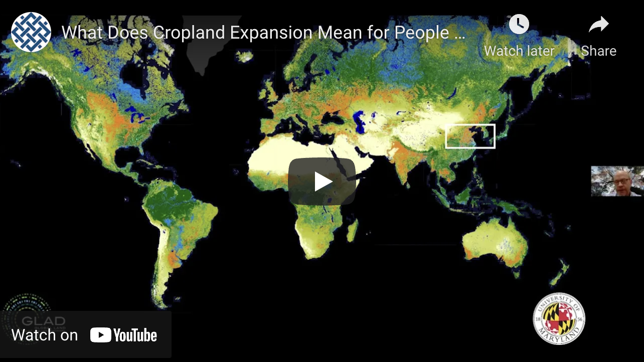 Expert Insights and Analyses | Land & Carbon Lab