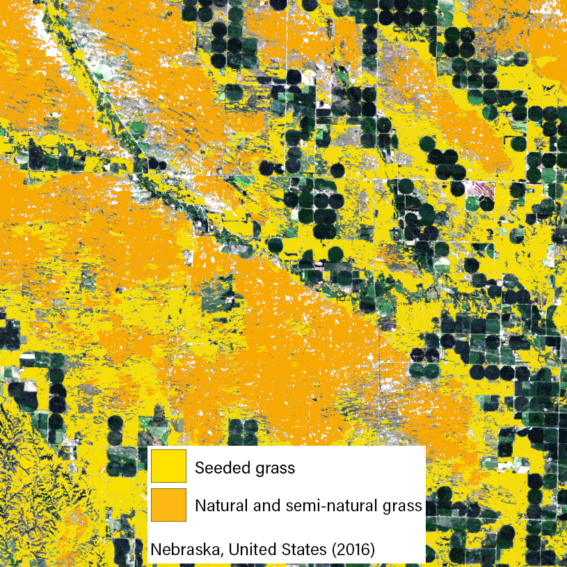 Geospatial Data for Nature-Based Solutions | Land & Carbon Lab