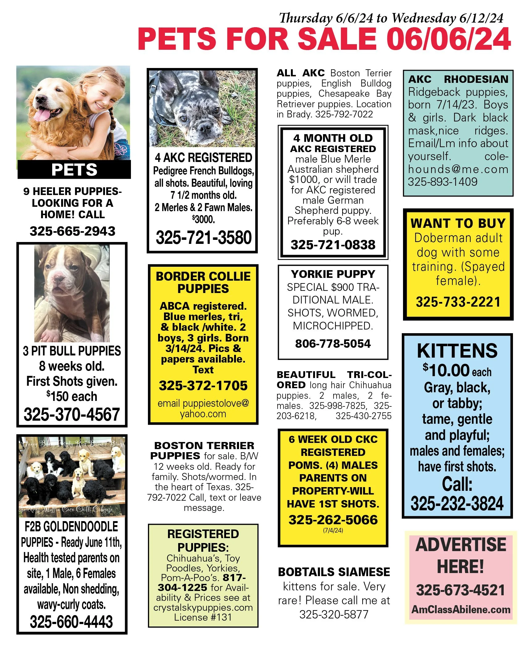 Pets For Sale Near Me - Thrifty Nickel of Abilene - Abilene Pets ...