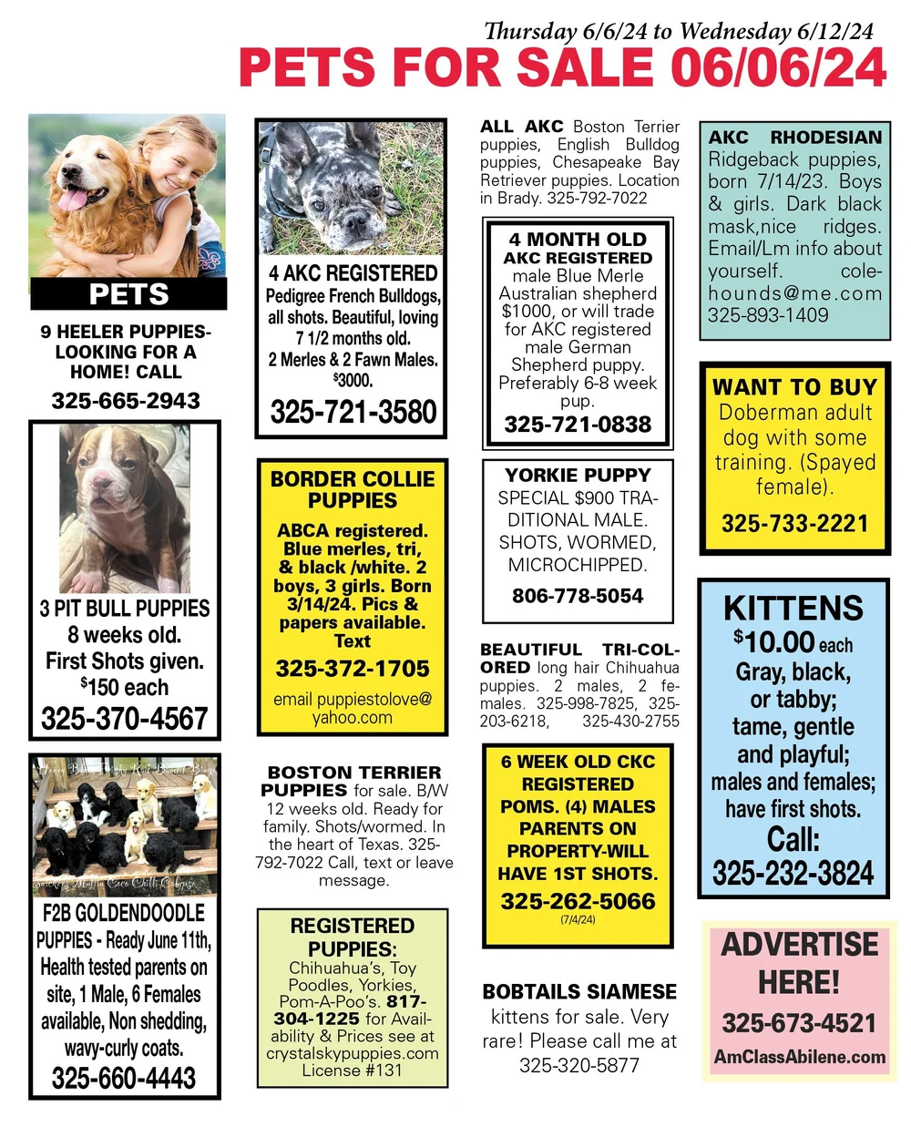 Pets For Sale Near Me - Thrifty Nickel of Abilene - Abilene Pets ...