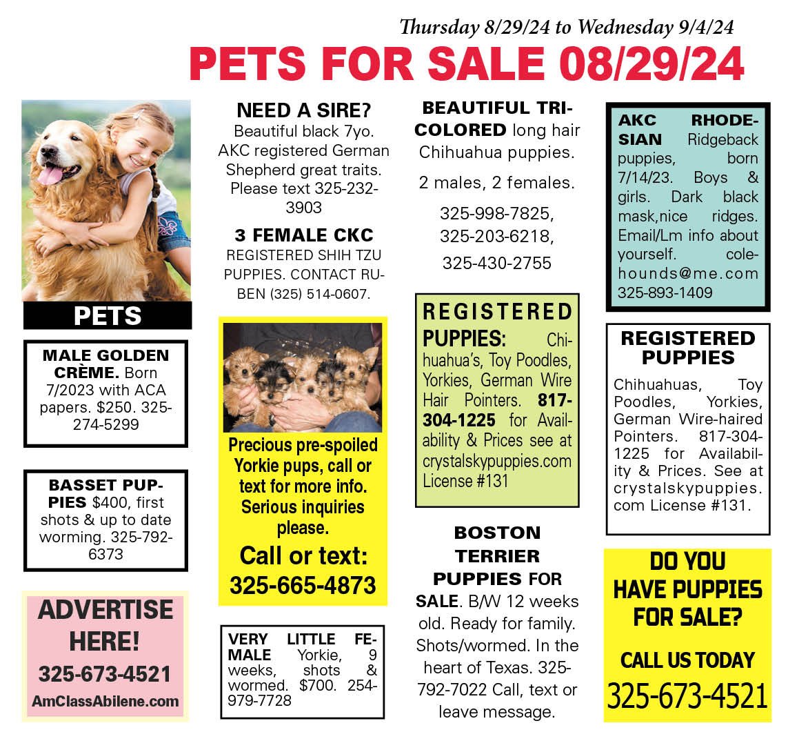 Pets For Sale Near Me - Thrifty Nickel of Abilene - Abilene Pets ...