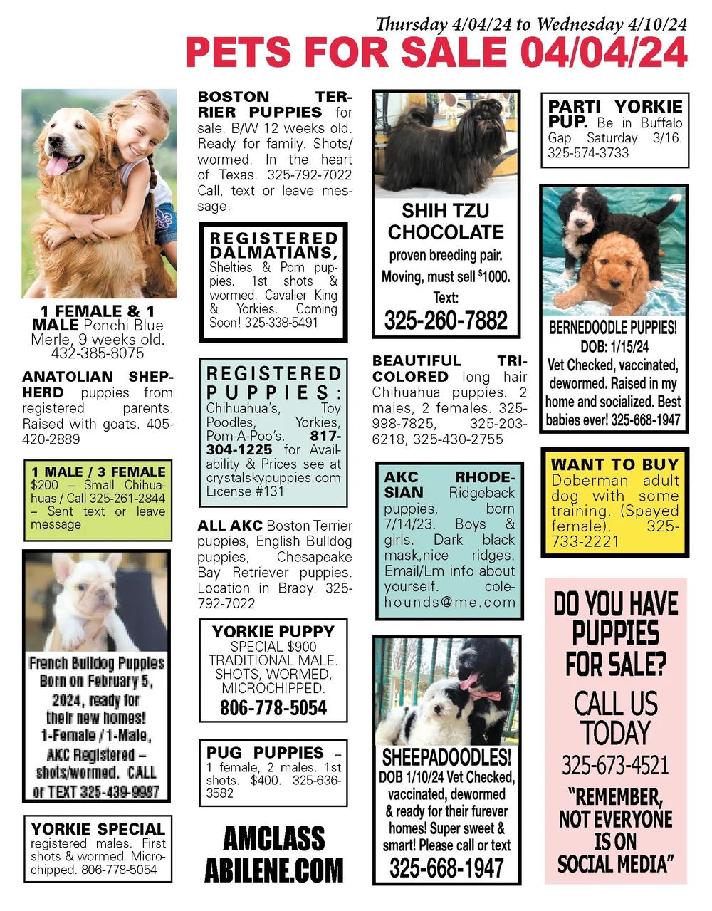 Pets For Sale Near Me - Thrifty Nickel of Abilene - Abilene Pets ...