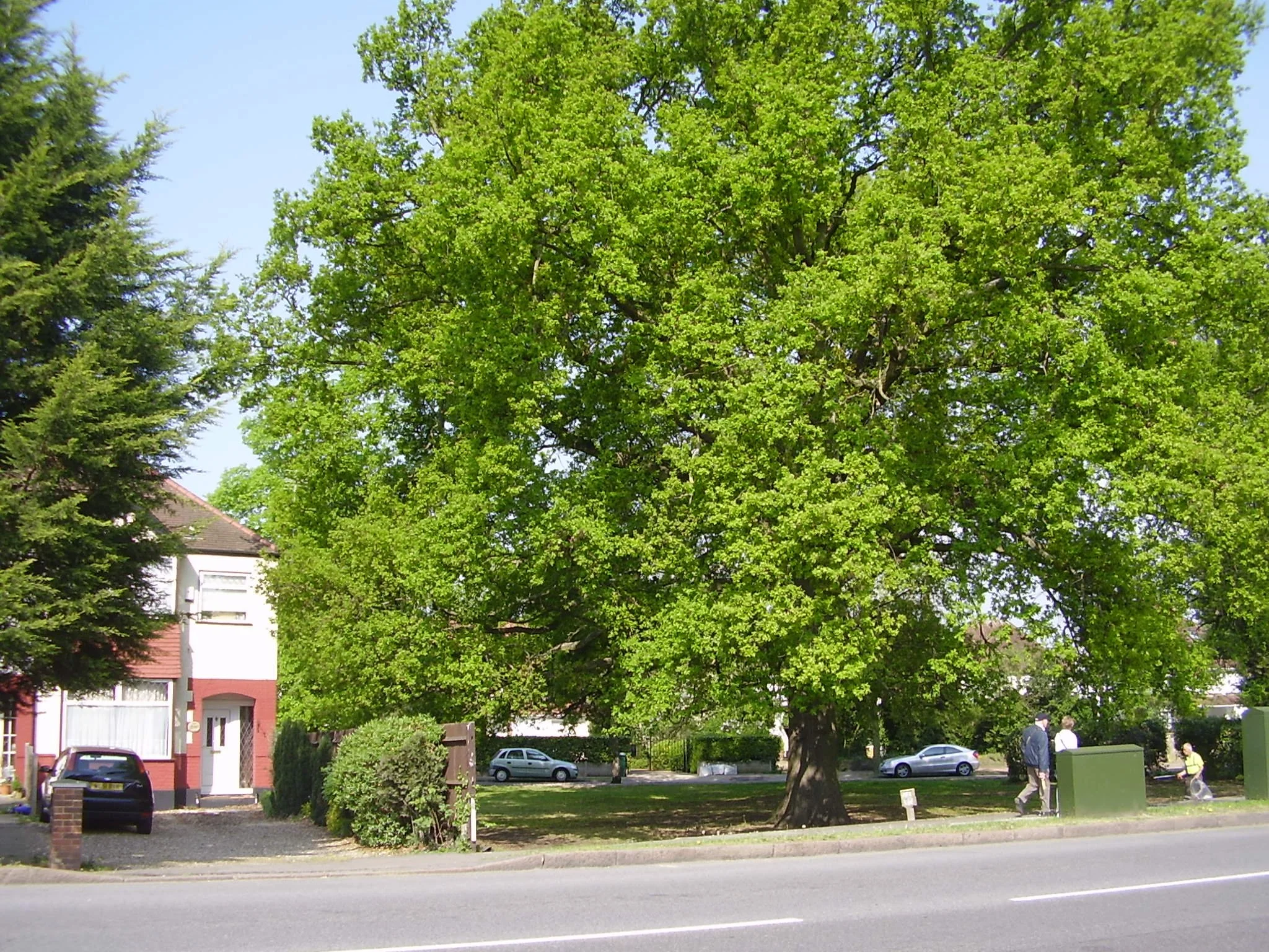 Process engineering — Clancy