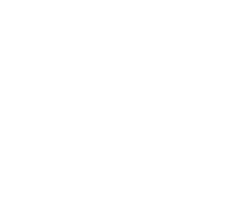 Bridge Brewing Co.
