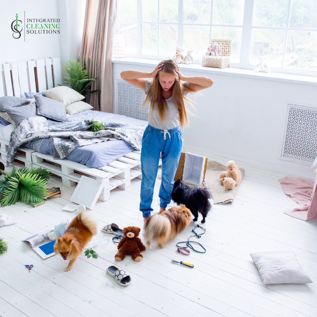 Stop Pet Mess in its Tracks - Keep Your Home Clean and Tidy with These ...