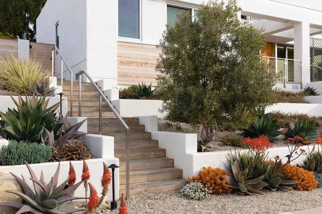 Hillcrest — Stacey Isaac Landscape Architect