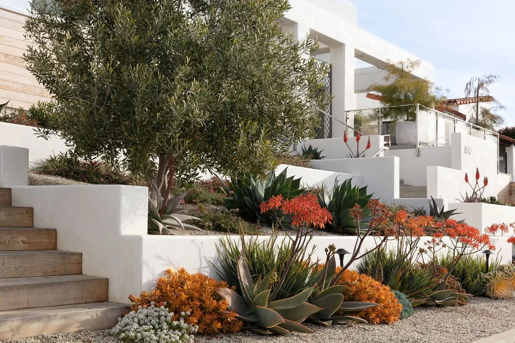 Hillcrest — Stacey Isaac Landscape Architect