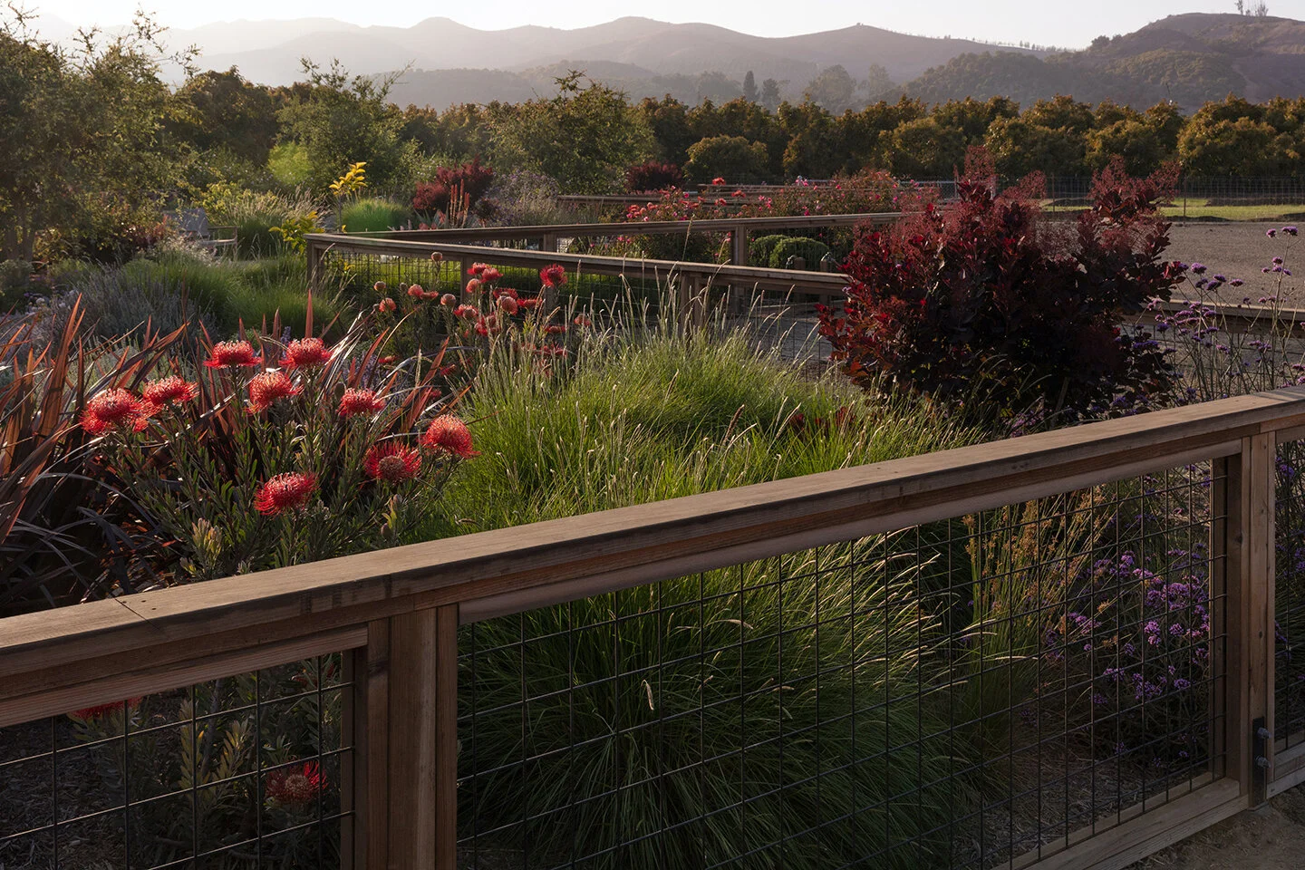 Stacey Isaac Landscape Architect