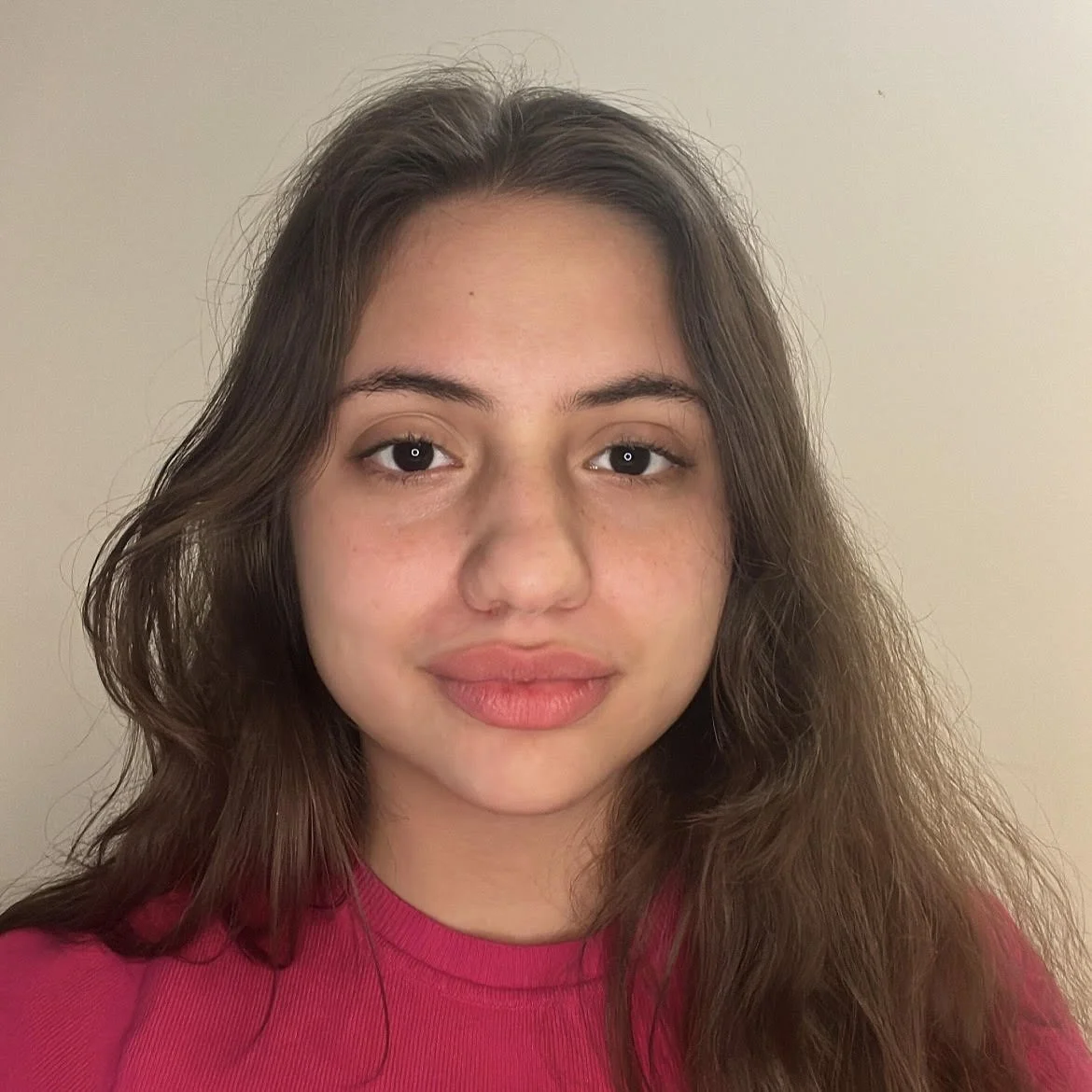 our team — Chica Project