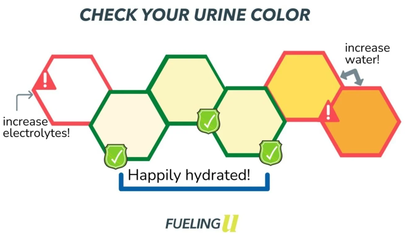 Athlete Hydration Tips — Fueling U