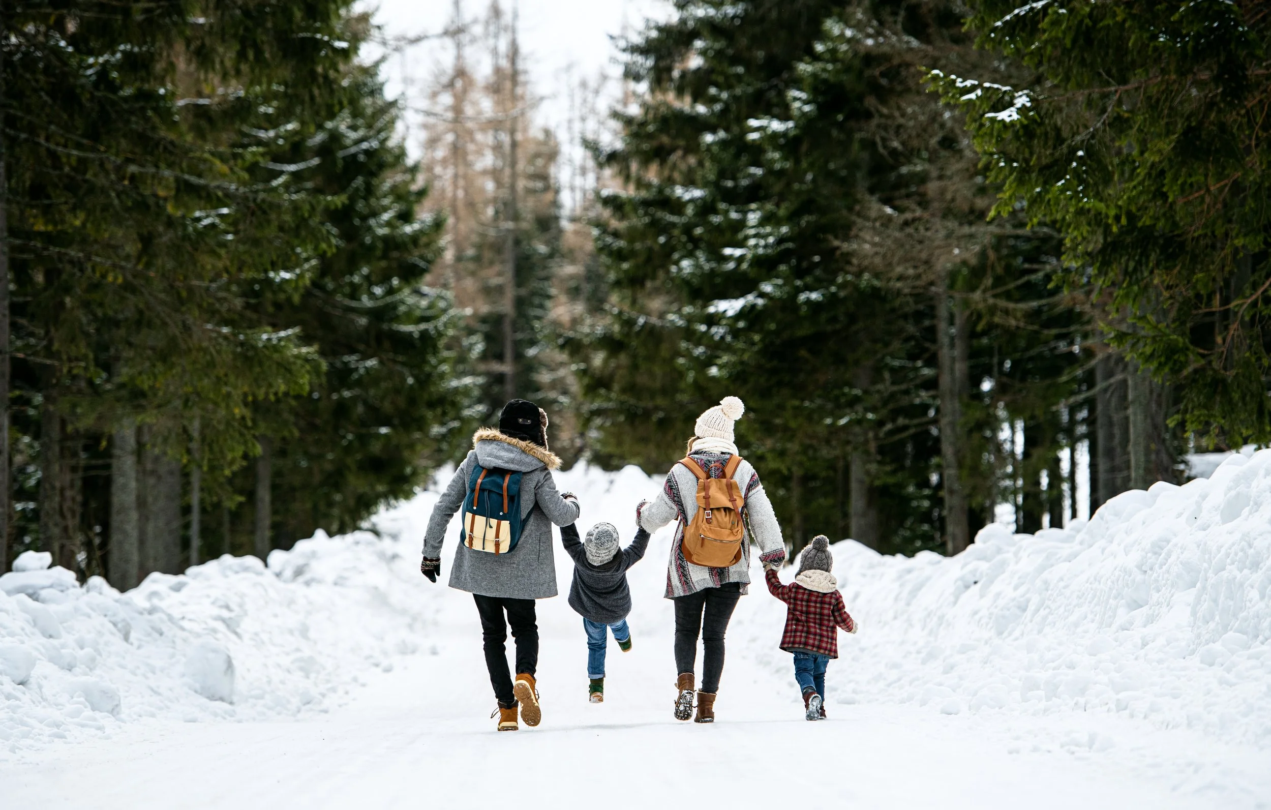 25 Free 2025 Edmonton Family-Day Activities and Events