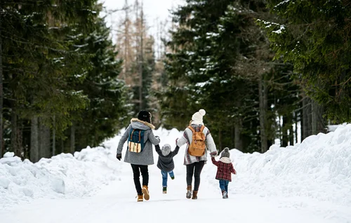 Edmonton Family Day Guide 2026: What to do and Where to go on Family ...