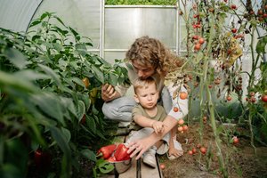 Edmonton Urban Farm is Hosting Free Saturday Kids Club this Summer