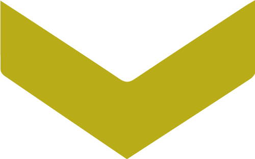 Our Core Capabilities — Cogitic Corporation