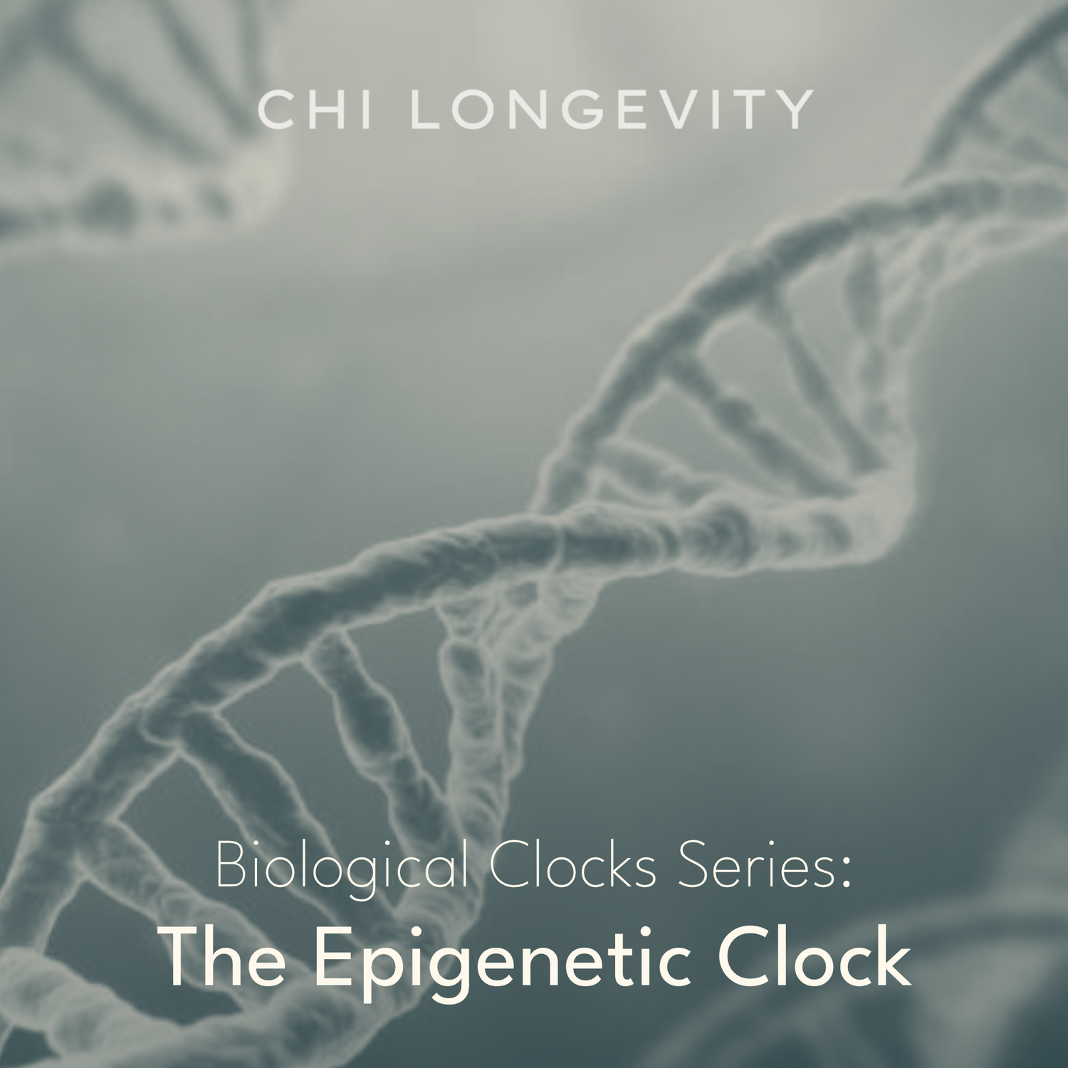 The Expatriate — Chi Longevity Epigenetic Clock. What is it, and why is ...