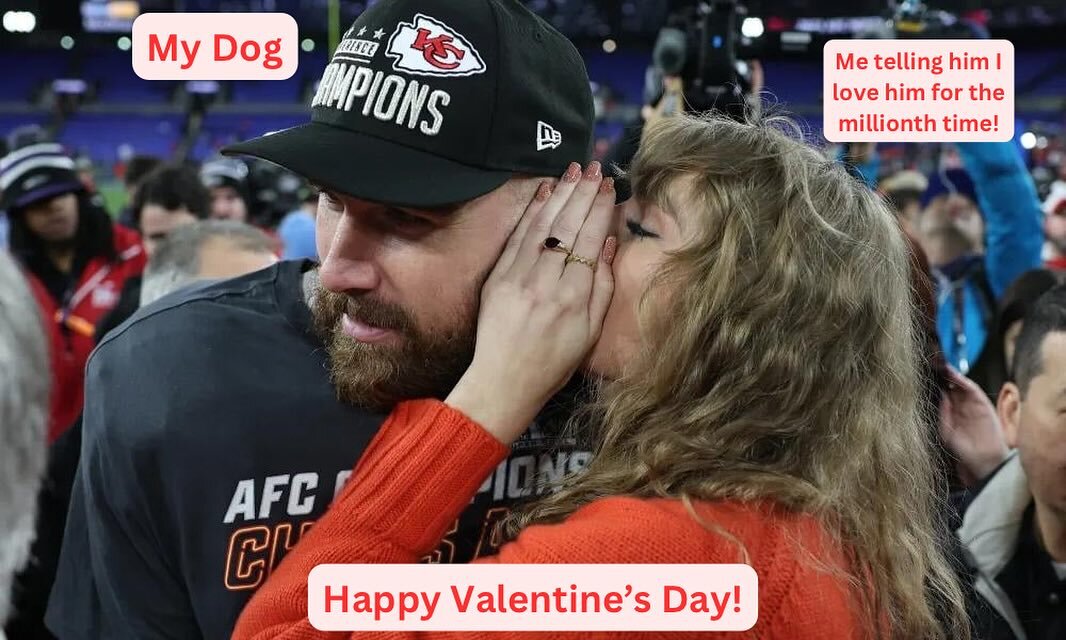 Perfect Pals Dog Training