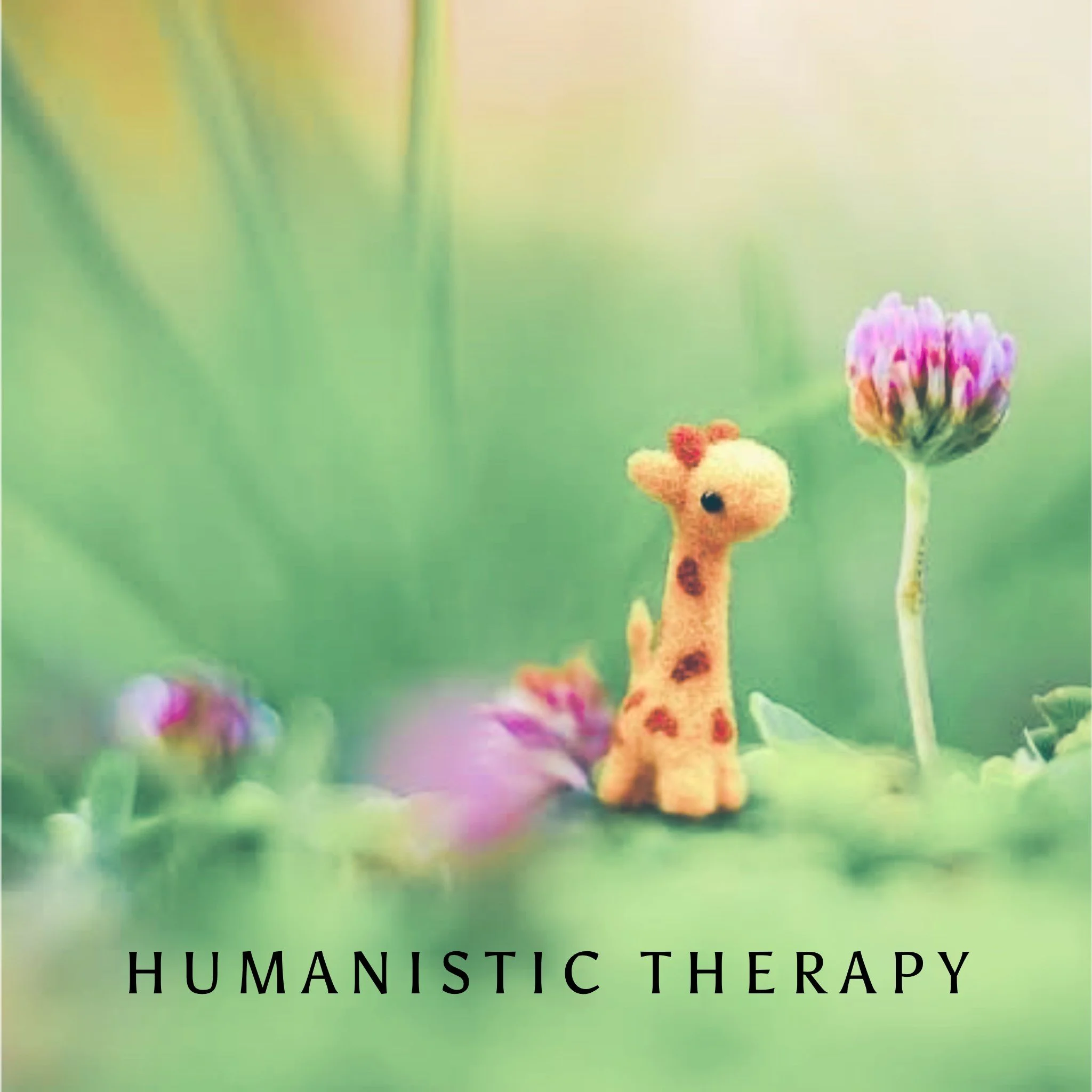 The Playful Therapist