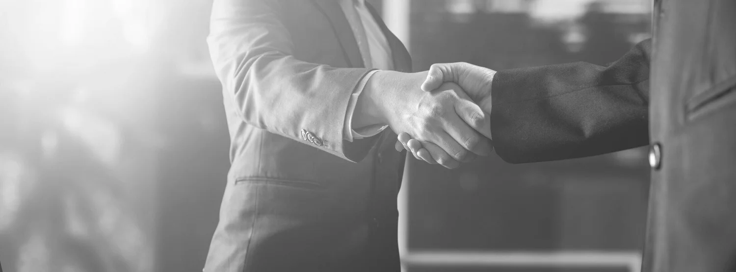 Our Team — Bellwether Wealth