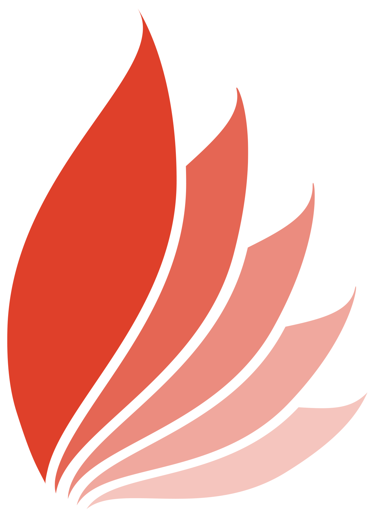 Fireloom — Can Studios