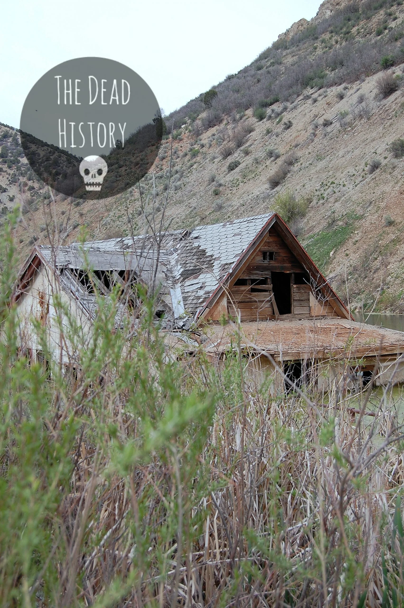 Thistle Flood Of 1983