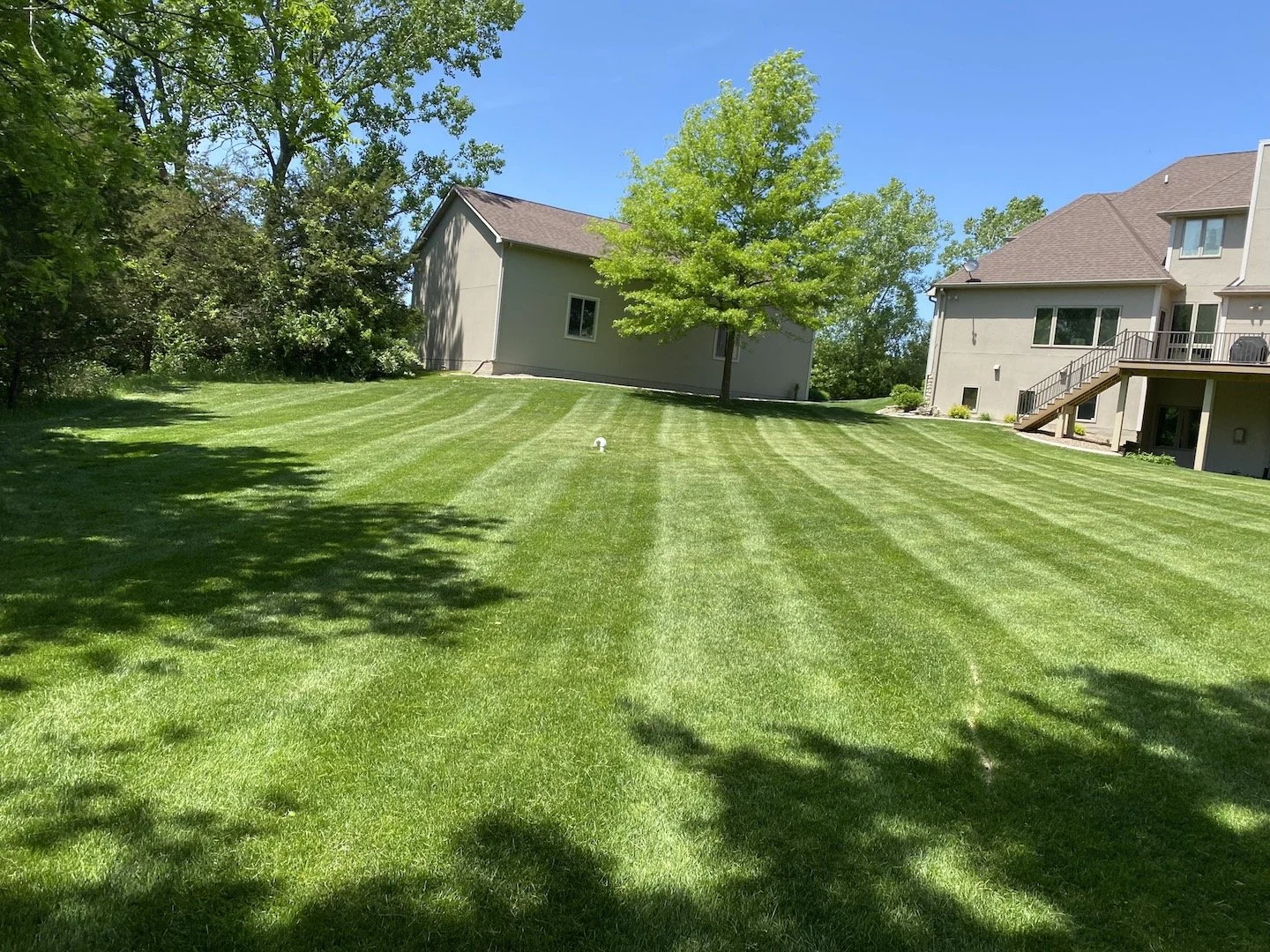 Six Steps to Maintaining a Beautiful Des Moines Lawn — Urban Farmer ...