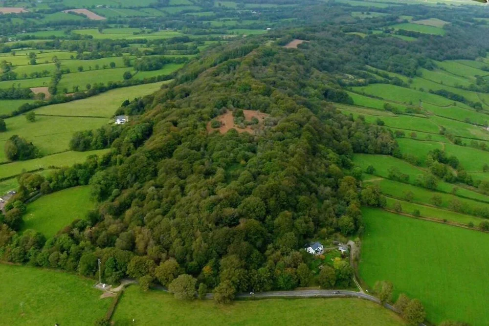 About Broadhembury — The Drewe Arms