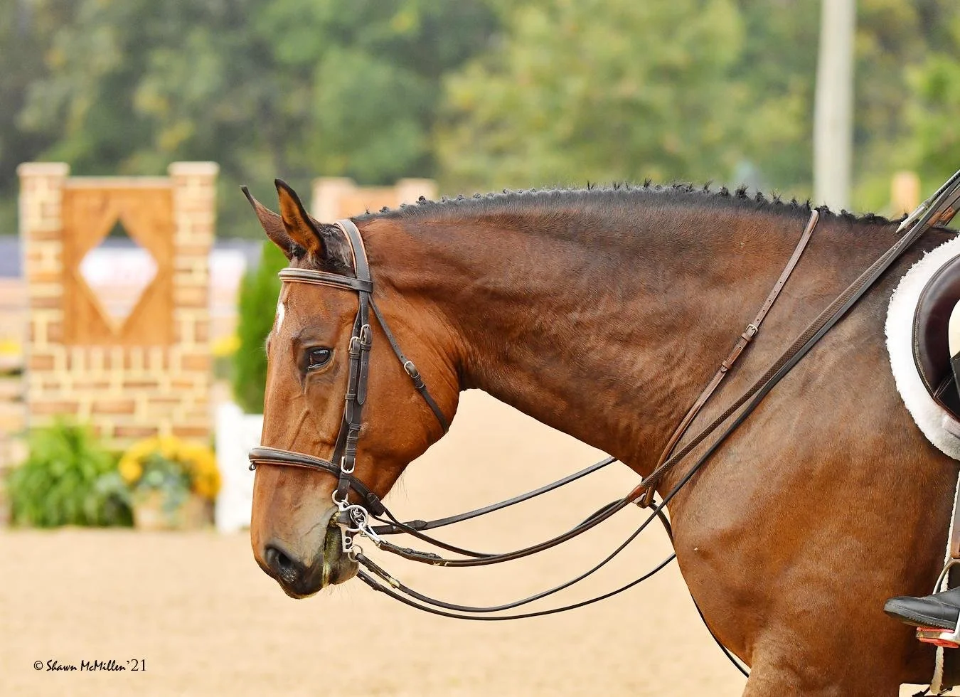 Kommando HB — Hidden Brook Stables