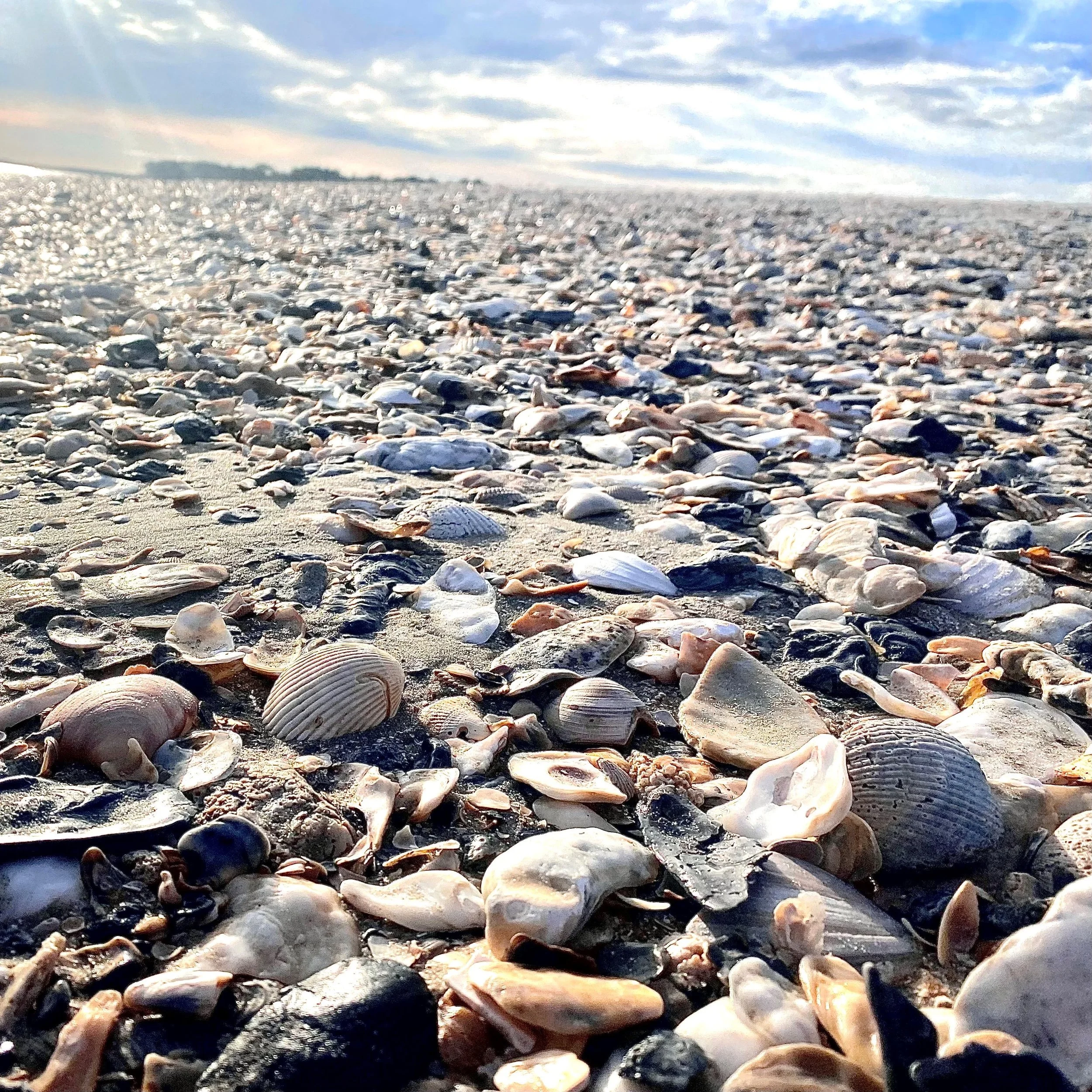 Travel Club — Capitol Tours