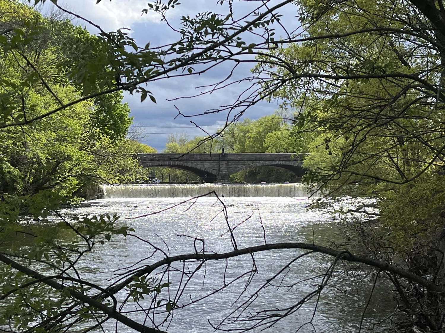 fishpassage — Blackstone Watershed Collaborative