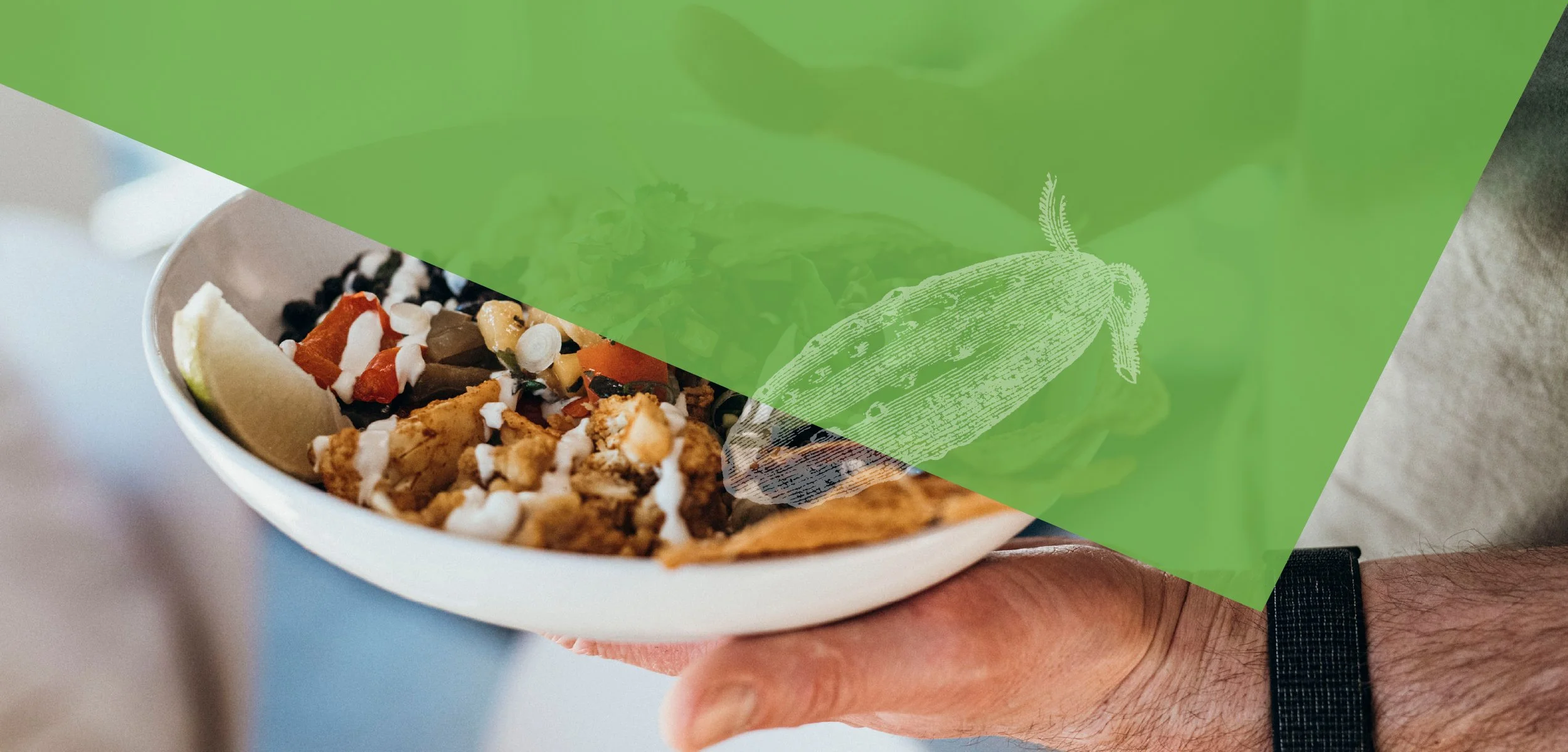 Franchise Details | Join the Green Moustache Franchise Today — The ...