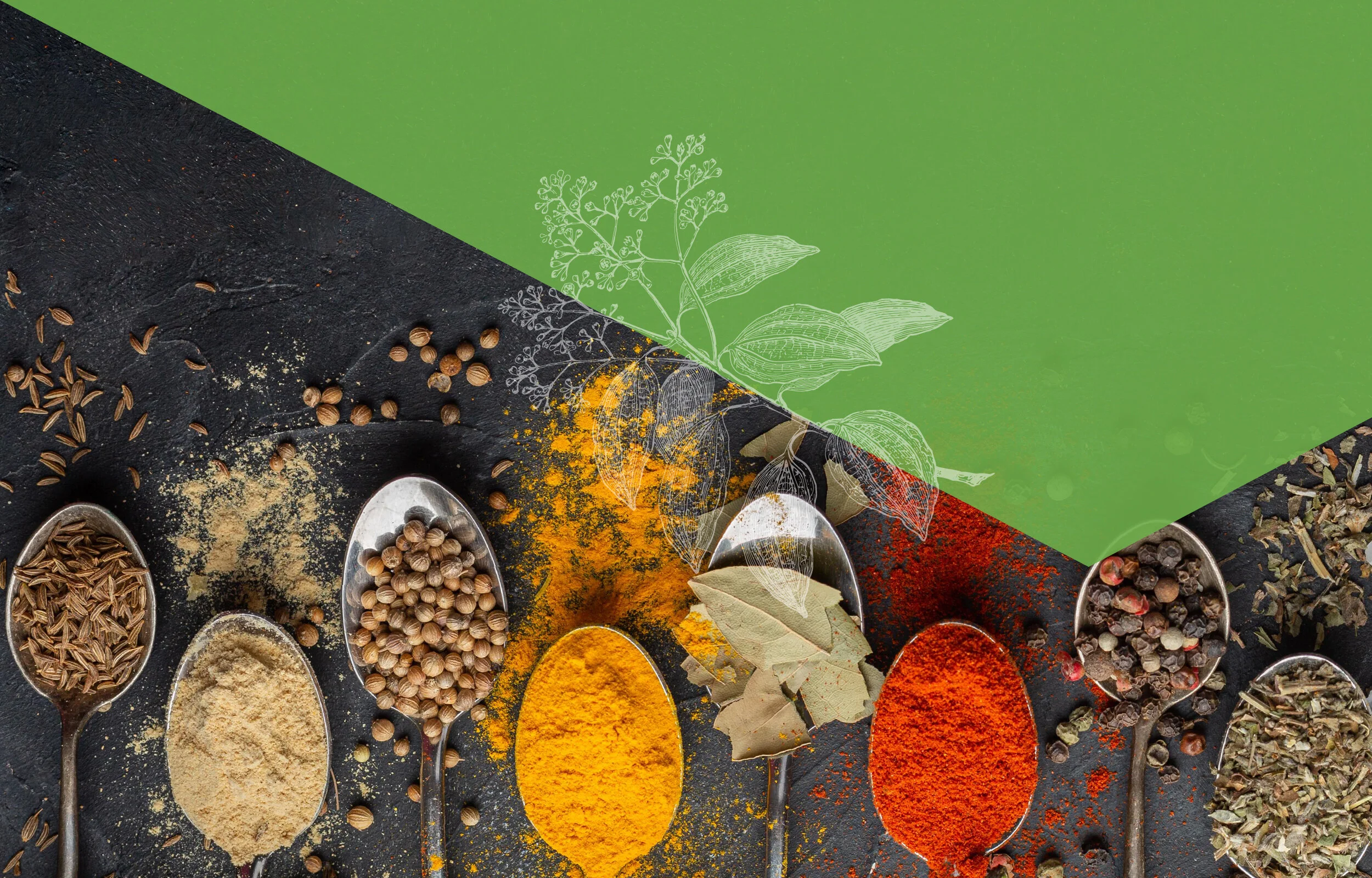 The Green Moustache Cafe