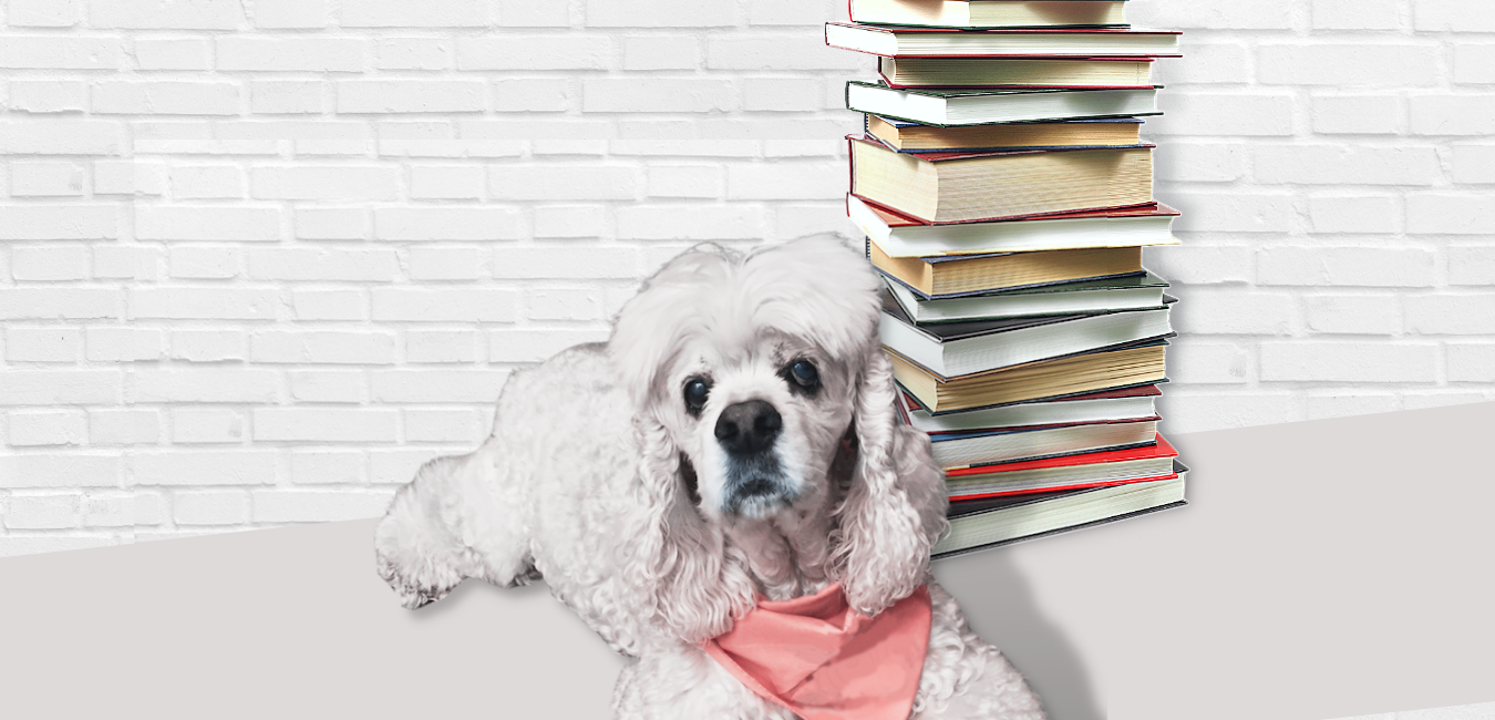 Dylan & Friends Publishing Company