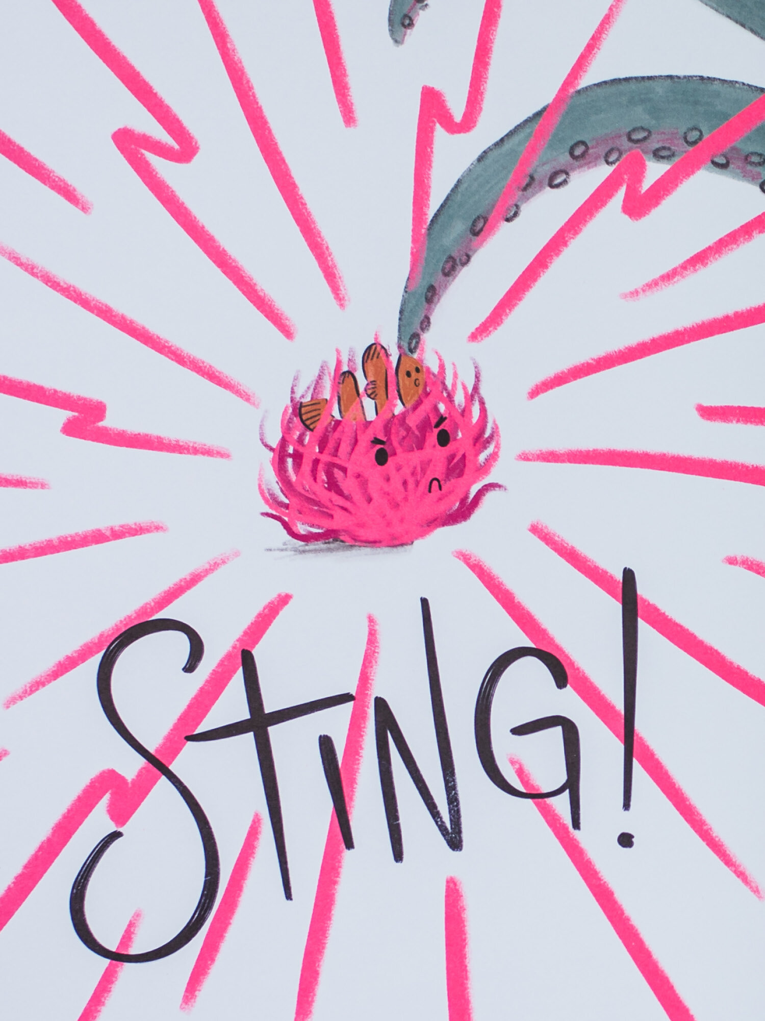 Snap! written and illustrated by Anna Walker — Scribble