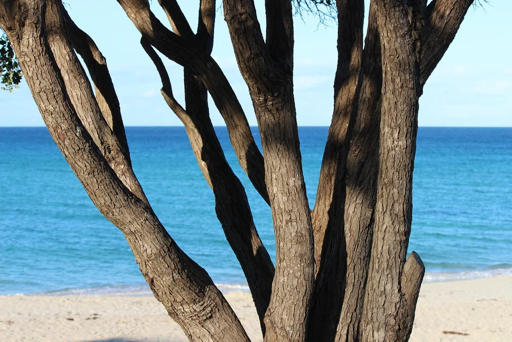 Our Team — Martinovich Psychological Services