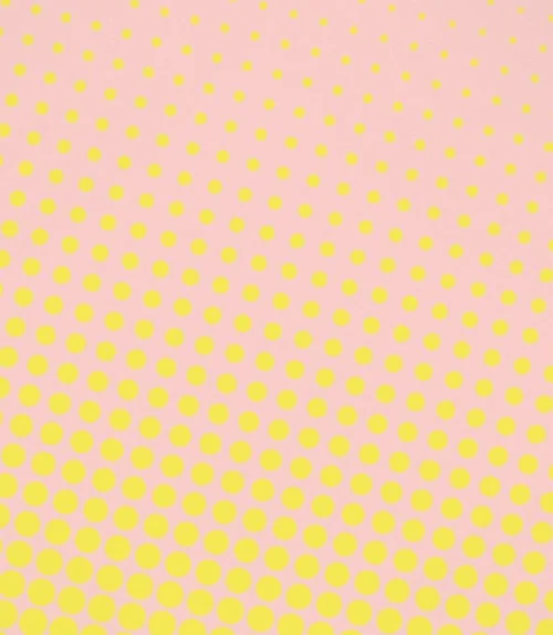 Pop Halftone Vinyl Backdrop 60cmx90cm — The Creative Caboodle