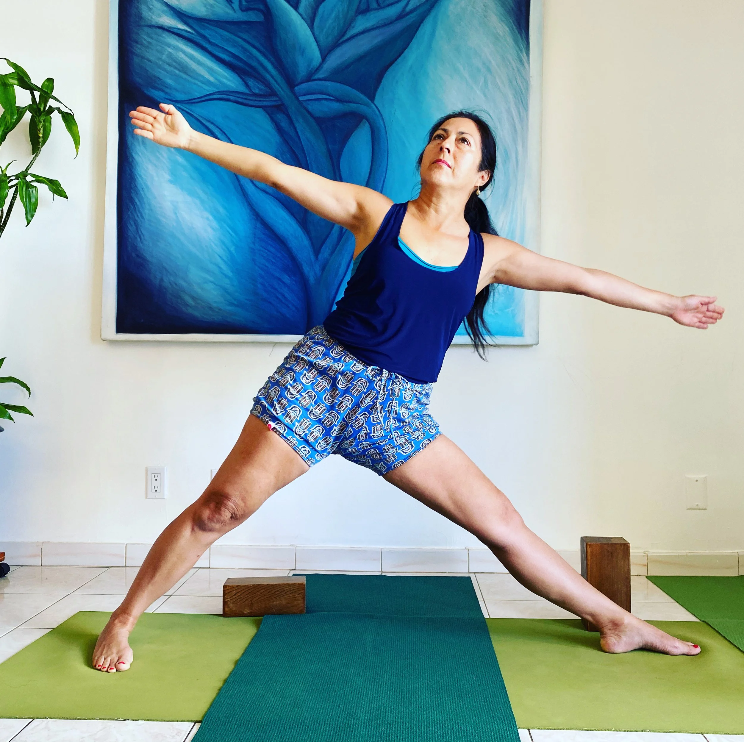 Where's Rosa? — Yogarosa