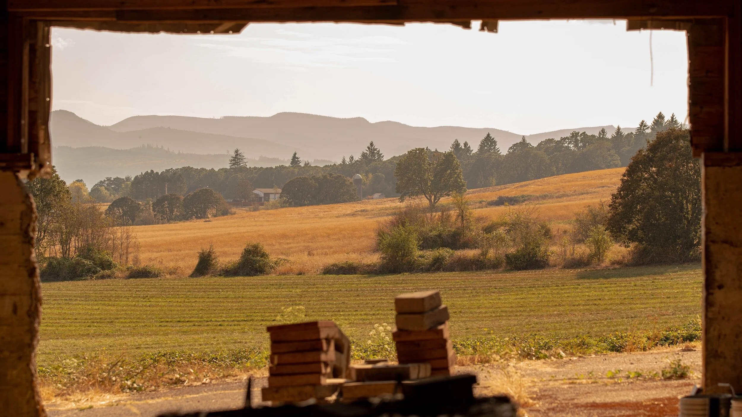 Oregon Community Food Systems Network - MAIN