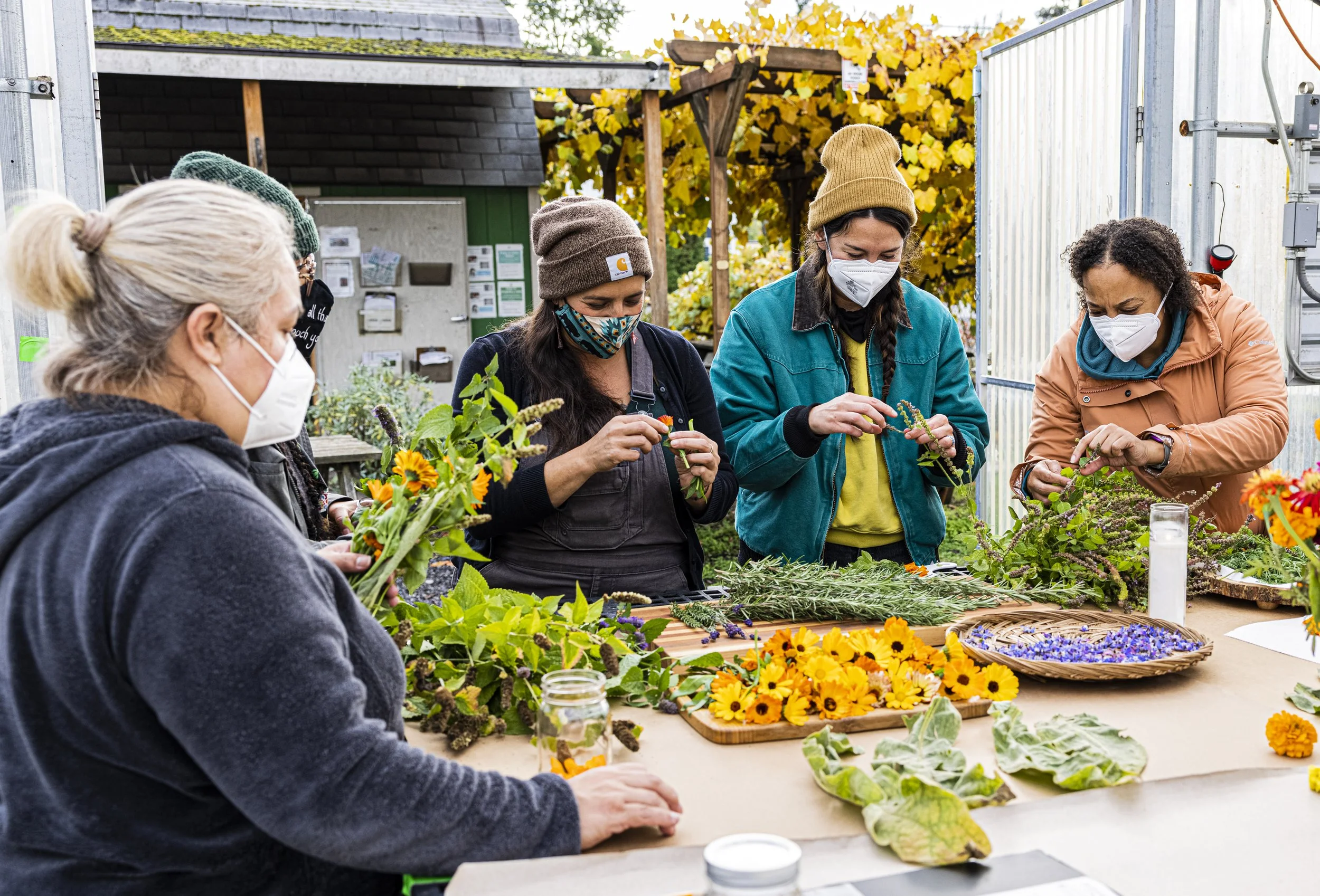 Oregon Community Food Systems Network - MAIN