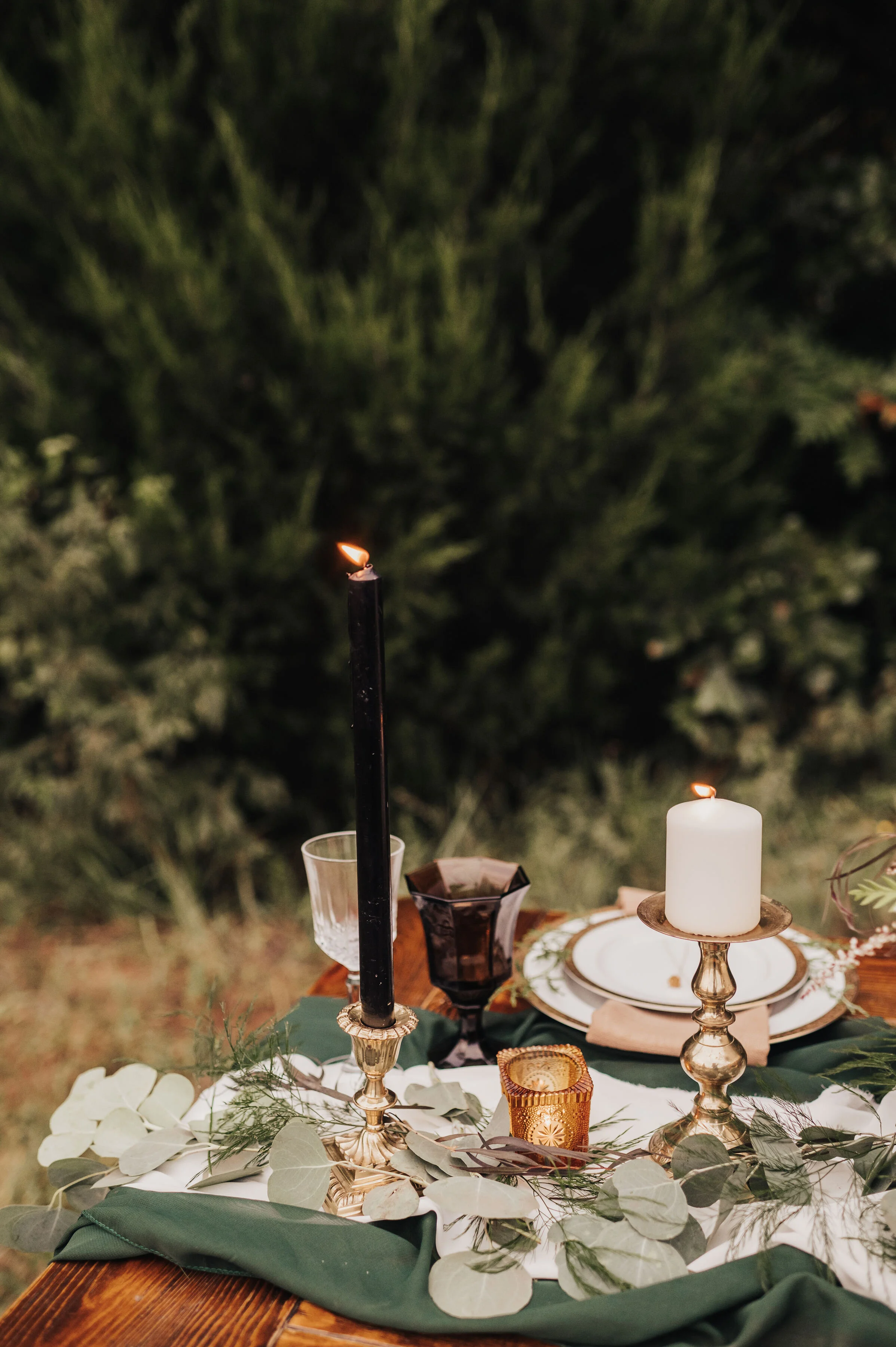 Pricing and Amenities — Timber Valley Ranch