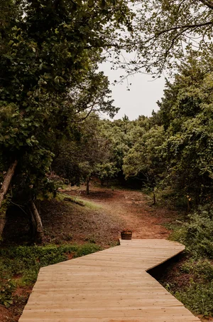 Timber Valley Ranch - Family-Owned Venue