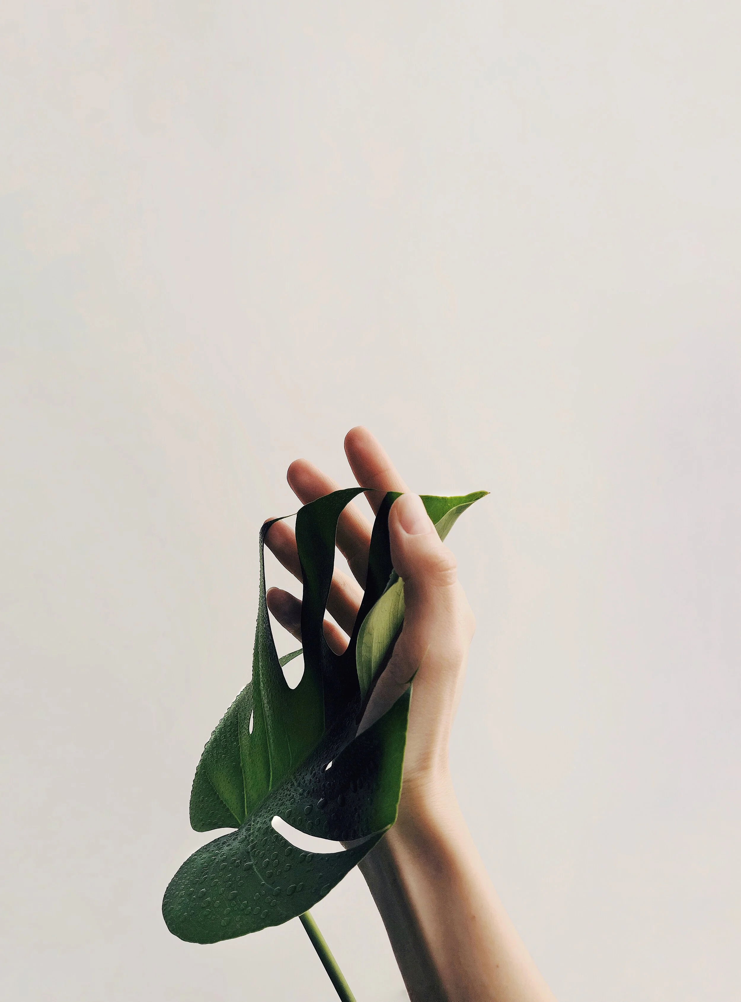 Best Waxing in Vancouver — CoalitionSkin | Holistic Spa | Vancouver ...