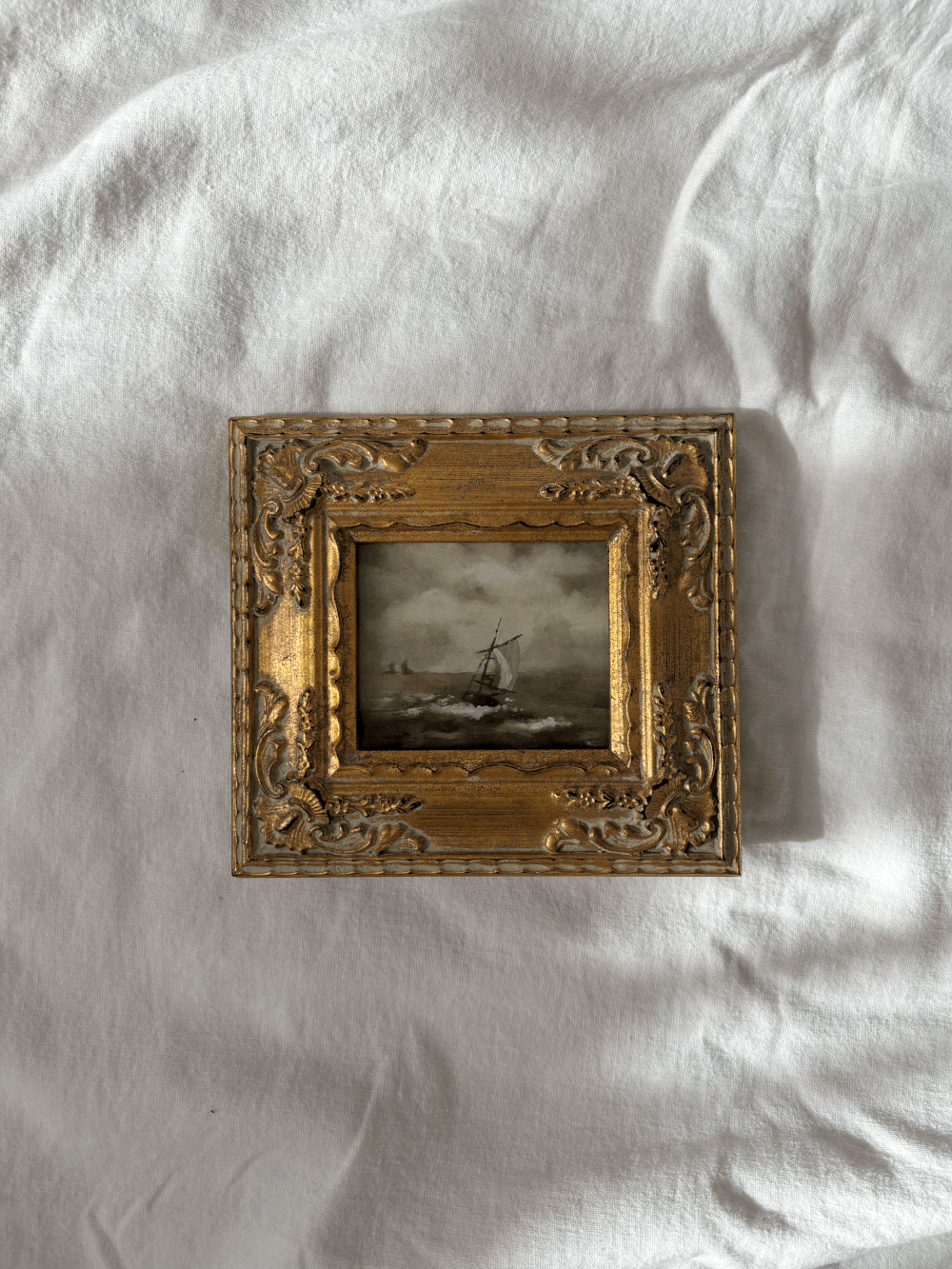 Shop — Emily Davis Collection