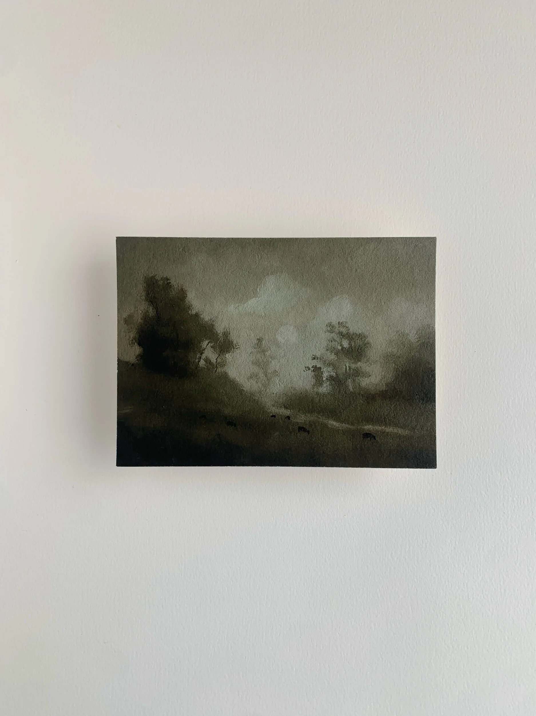 Shop — Emily Davis Collection