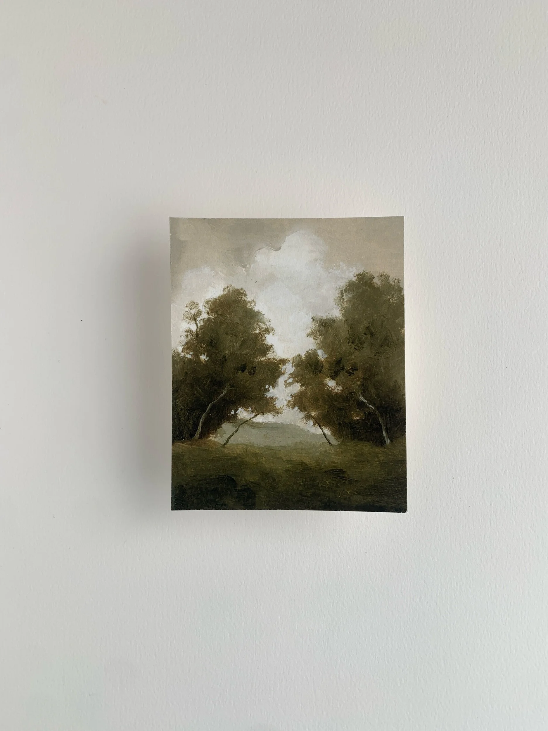 Shop — Emily Davis Collection