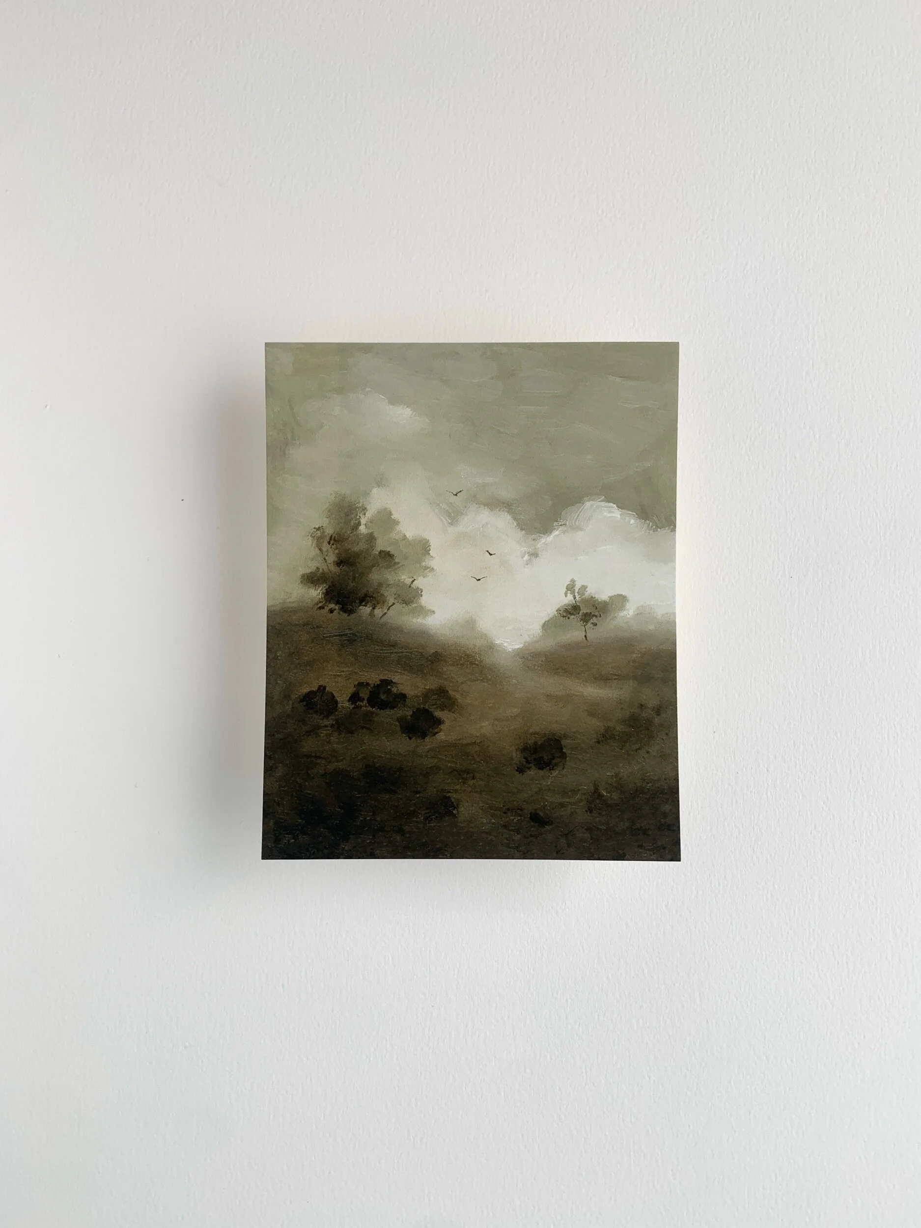 Shop — Emily Davis Collection