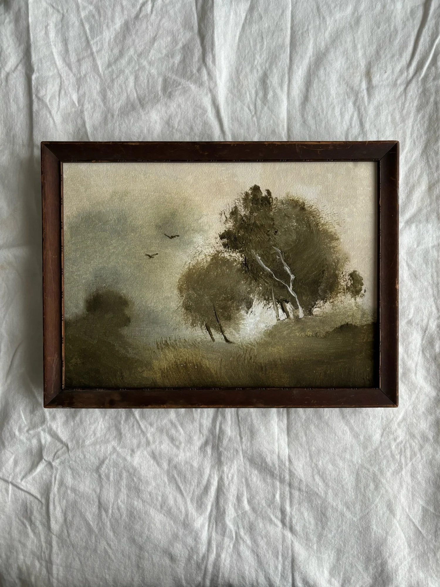 Shop — Emily Davis Collection