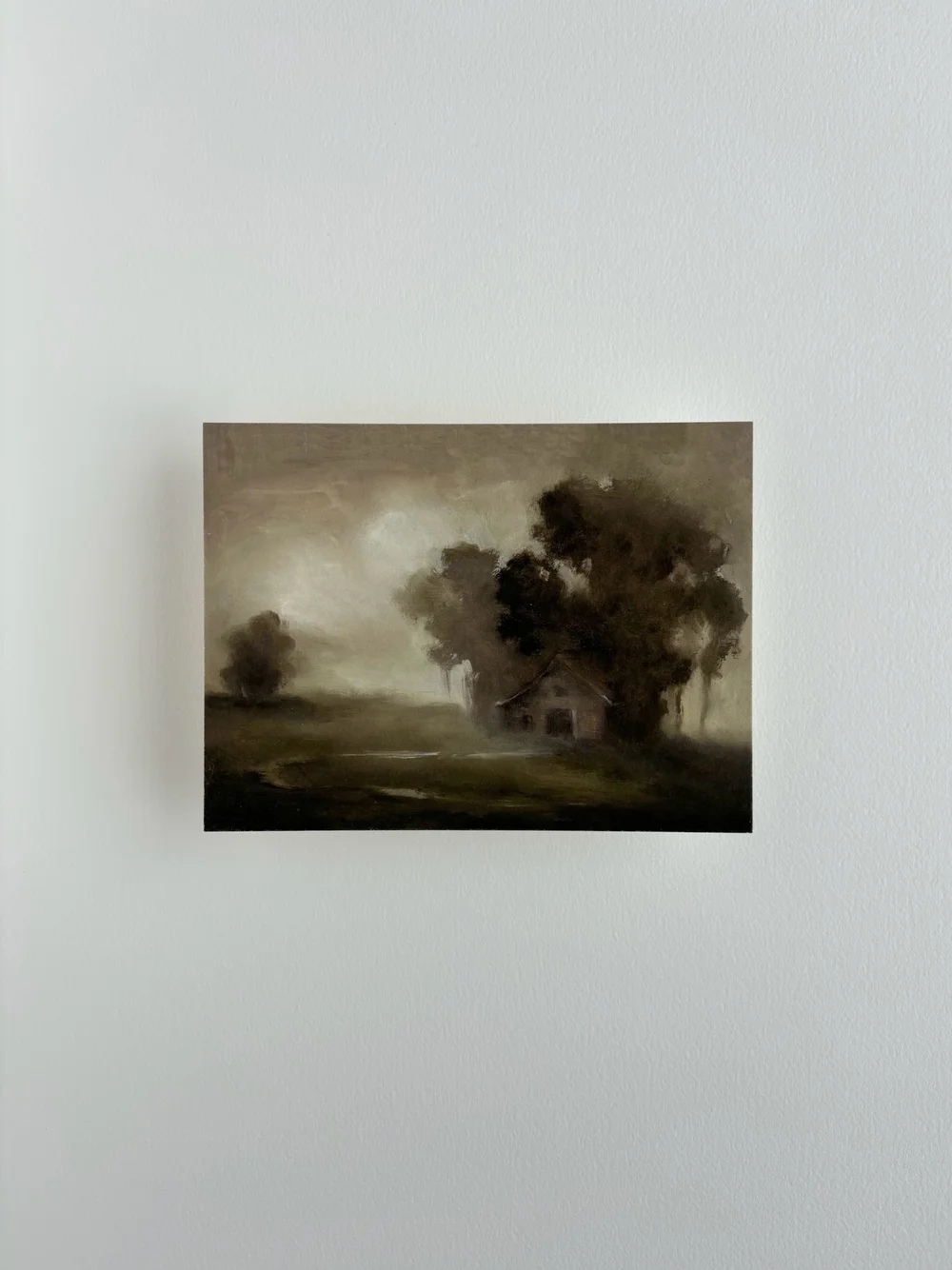Shop — Emily Davis Collection