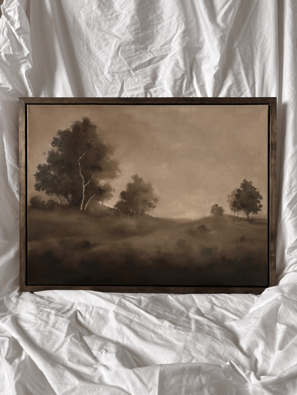 Shop — Emily Davis Collection