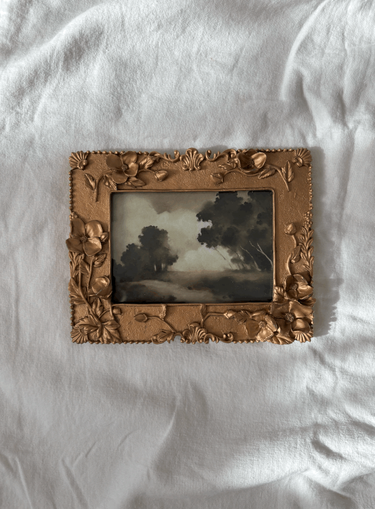 Shop — Emily Davis Collection