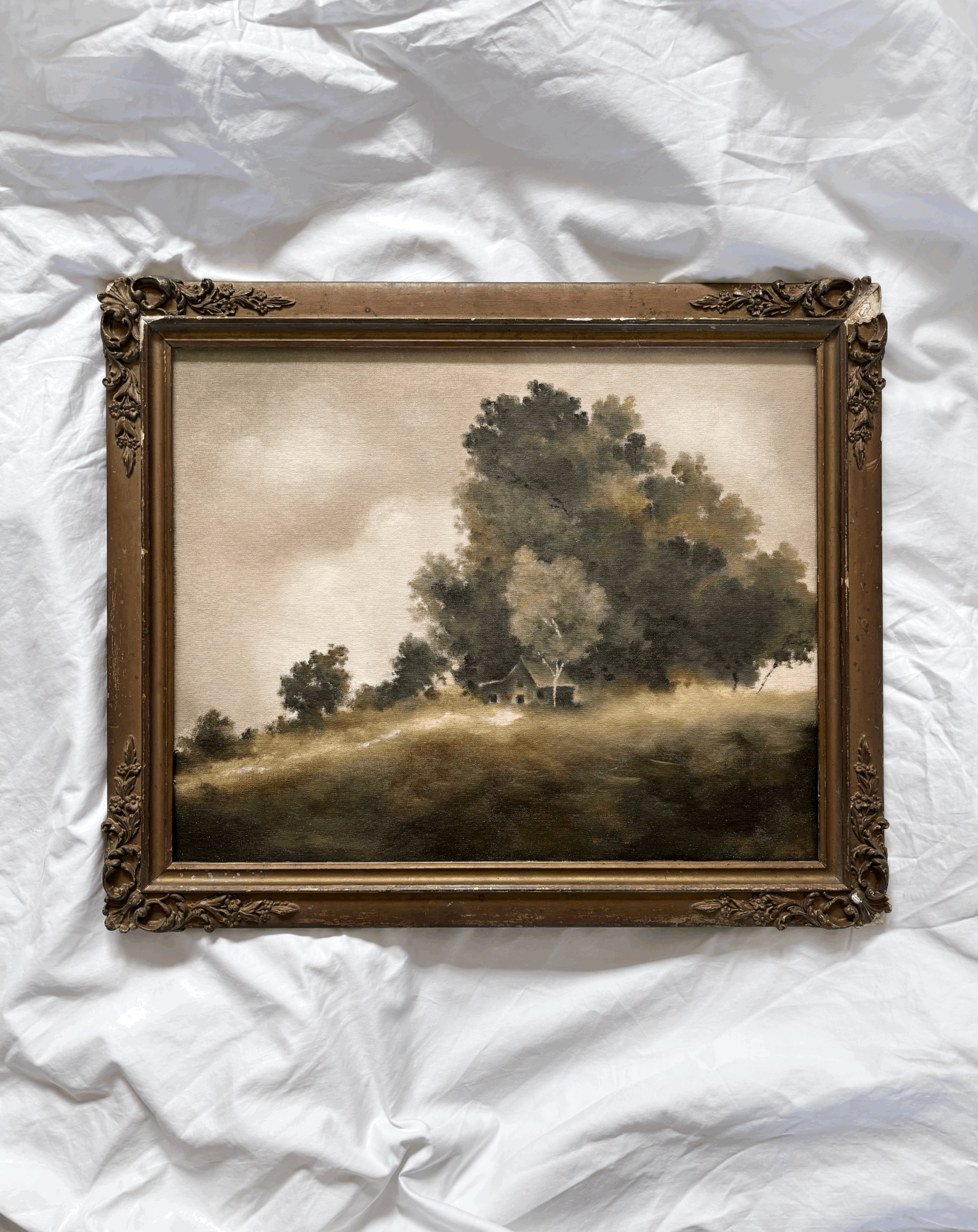 Shop — Emily Davis Collection